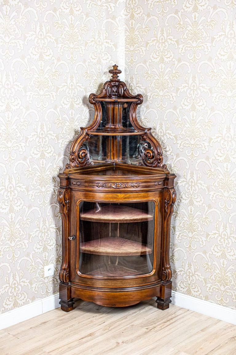 Dark Brown Walnut Corner Commode From the 2nd Half of the 19th Century ...