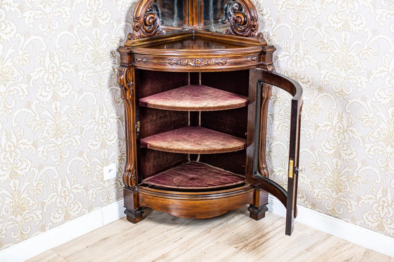 Dark Brown Walnut Corner Commode From the 2nd Half of the 19th Century ...
