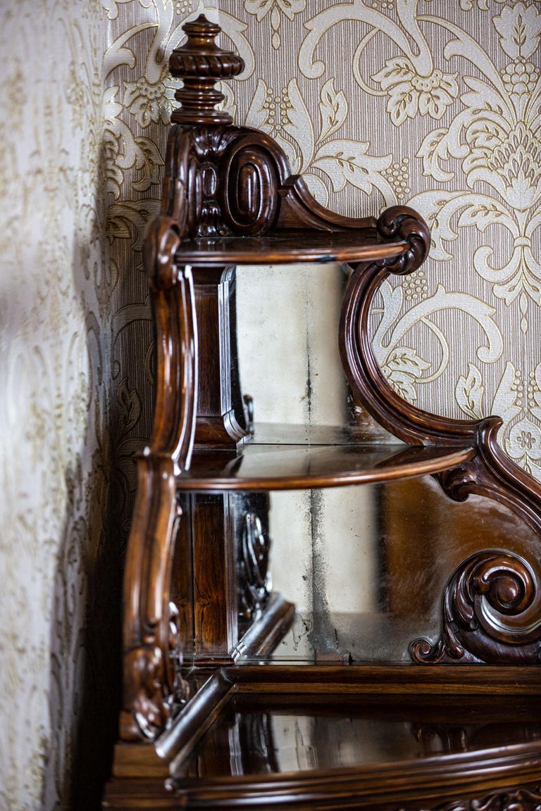 Dark Brown Walnut Corner Commode From the 2nd Half of the 19th Century ...