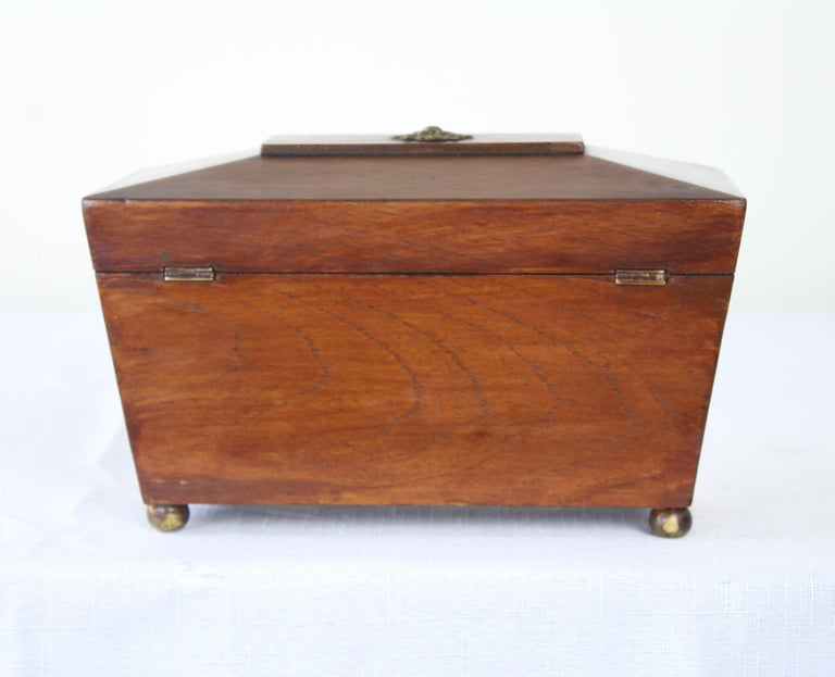 Walnut Regency Tea Caddy For Sale at 1stDibs