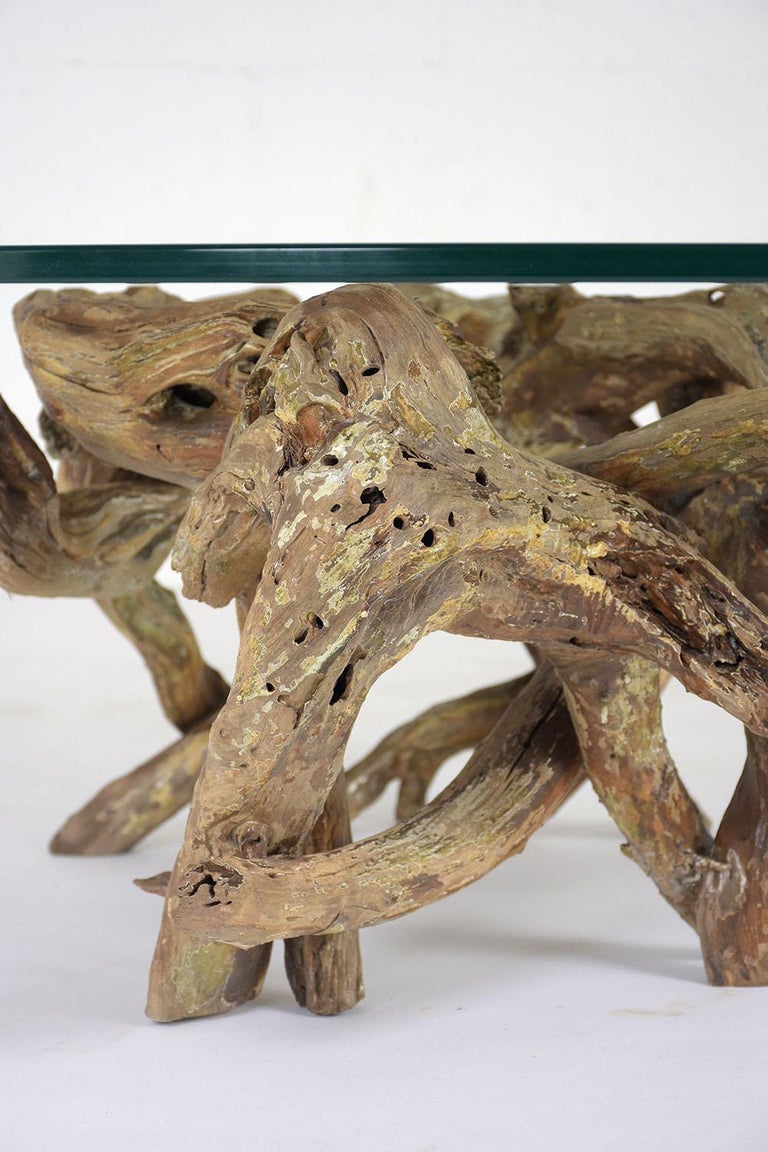 Walnut Root Coffee Table at 1stDibs
