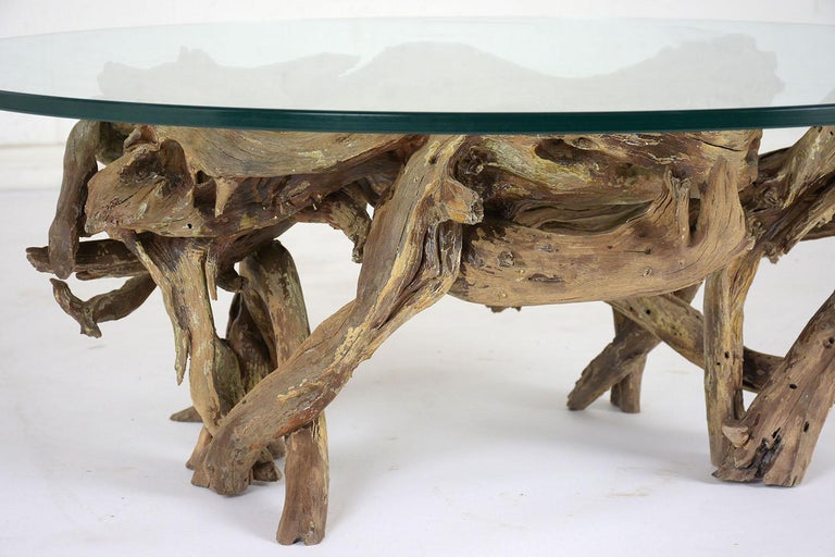 Walnut Root Coffee Table at 1stDibs