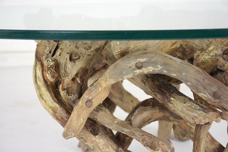 Walnut Root Coffee Table at 1stDibs