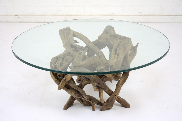 Walnut Root Coffee Table at 1stDibs