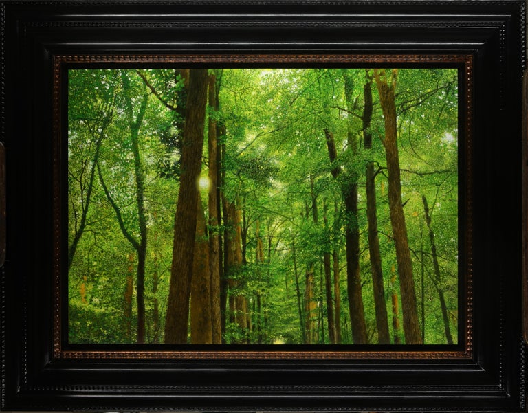 Walter Elst - Groene Kathedralen Green Cathedrals Woods Forest Trees Light In Stock For Sale at ...