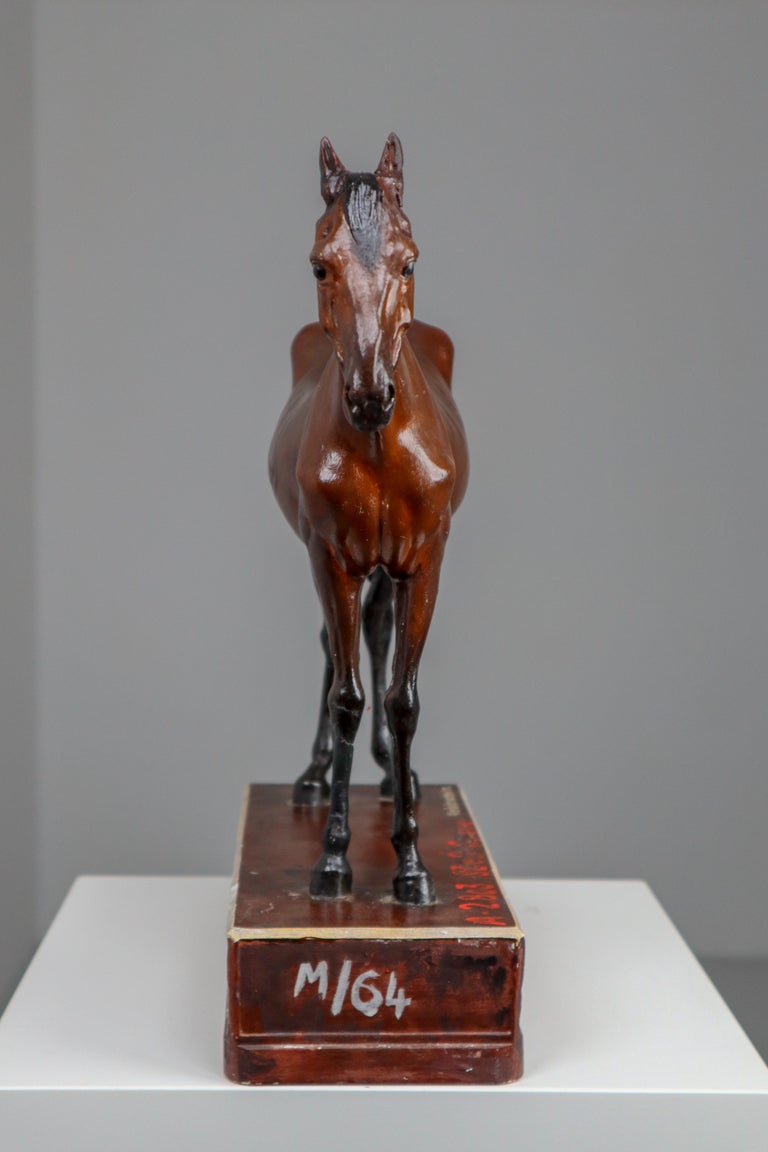 Warm-Blooded Horse Model in Painted Plaster by Max Landsberg, Berlin ...