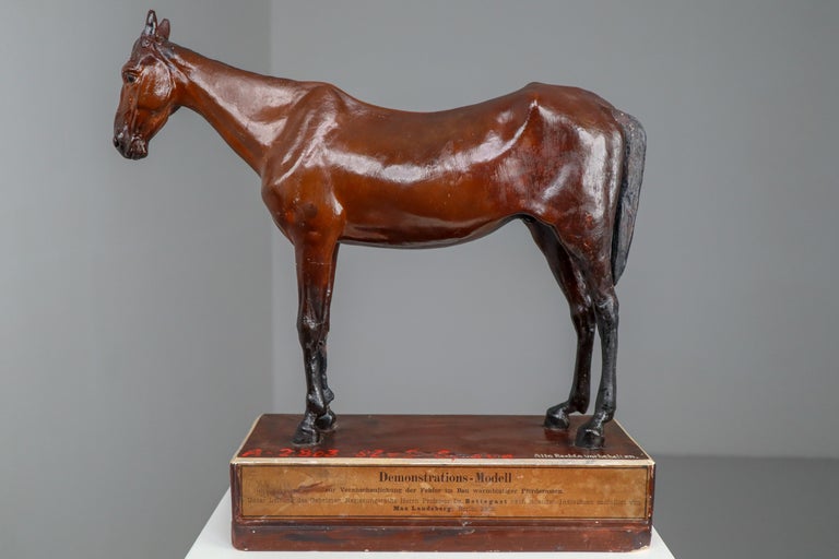 Warm-Blooded Horse Model in Painted Plaster by Max Landsberg, Berlin ...