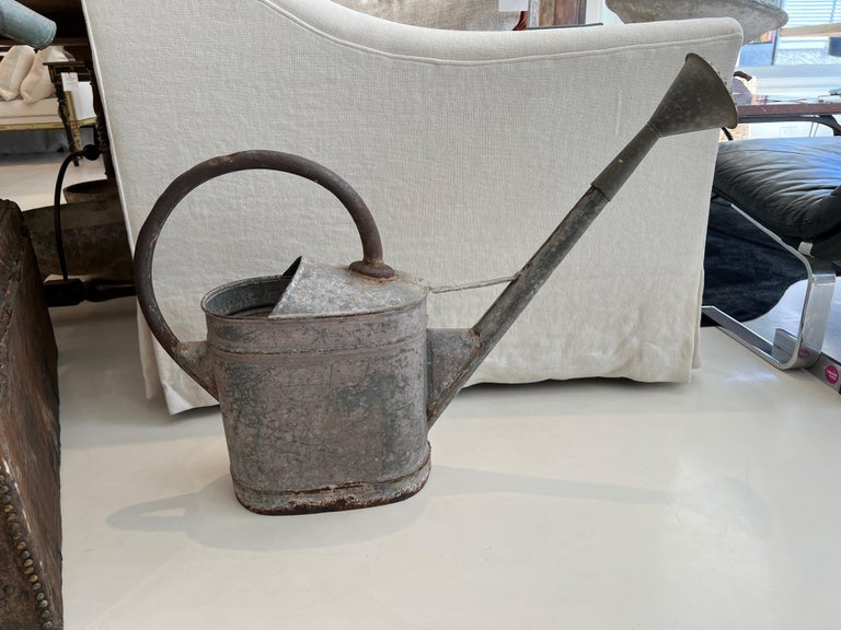 Watering Can with Spout For Sale at 1stDibs