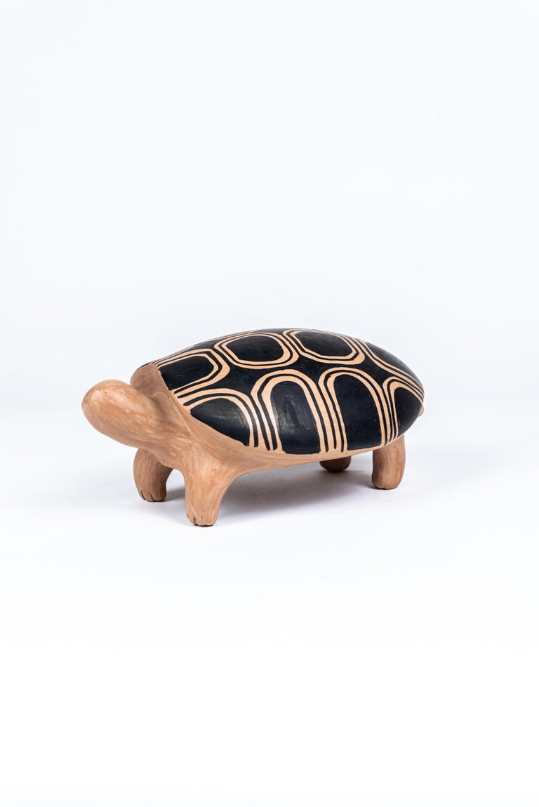 Wauja, Céramique indigène zoomorphe : "Tortue", 2020 For Sale at 1stDibs