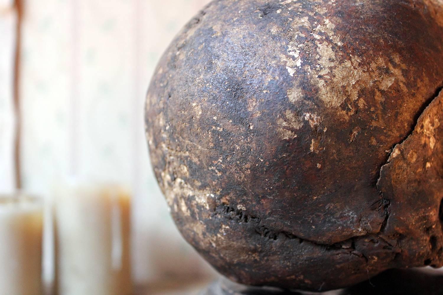 Well Patinated Early Human Skull at 1stDibs