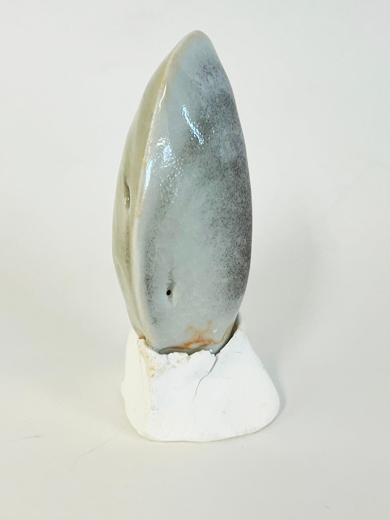 Wendy Foster - Coastal Mussels For Sale at 1stDibs