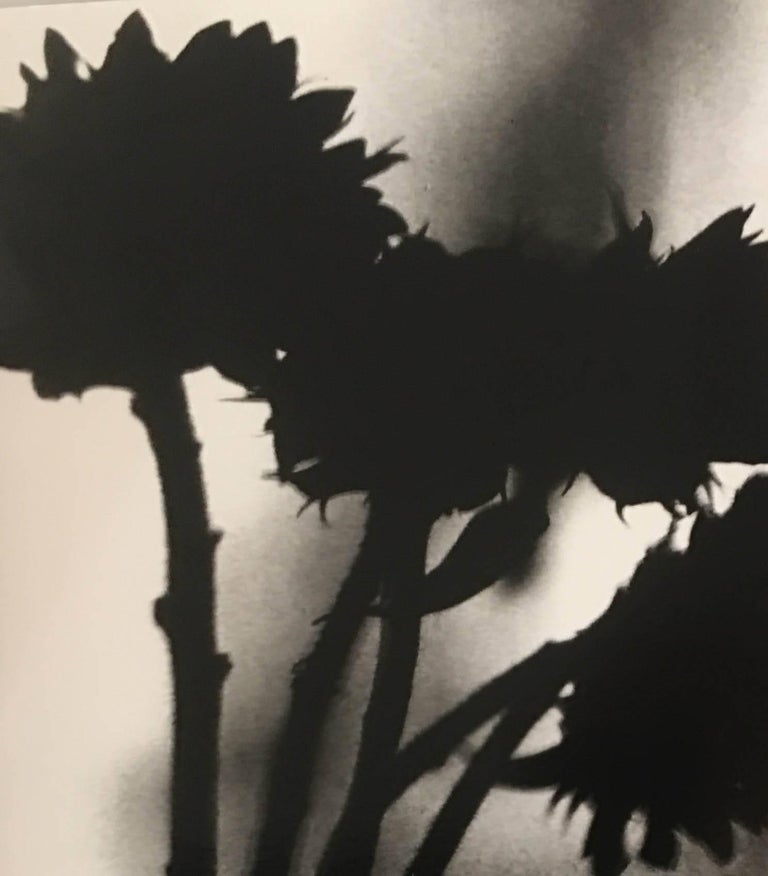 Wendy Small - Before the Details 1 For Sale at 1stDibs