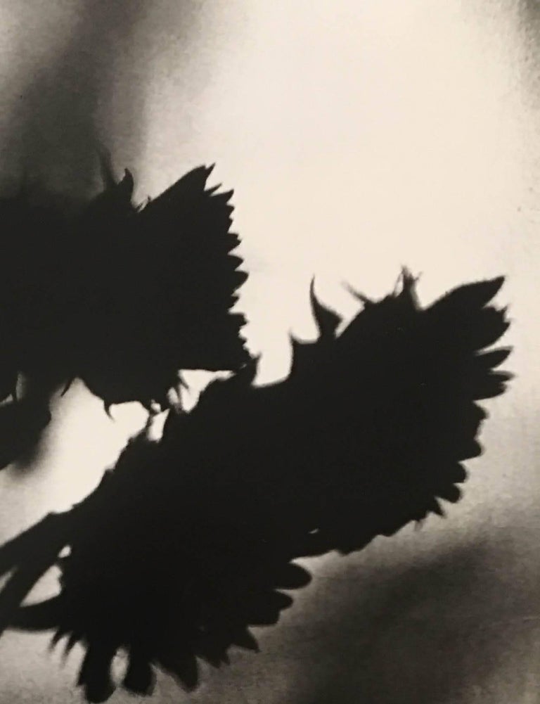 Wendy Small - Before the Details 1 For Sale at 1stDibs