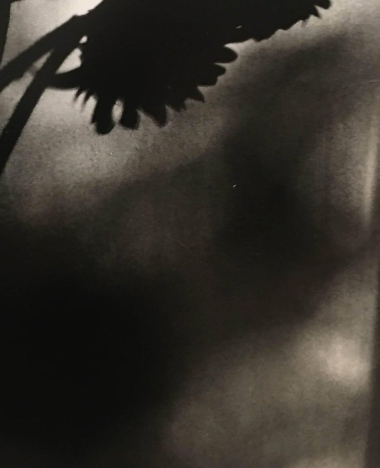 Wendy Small - Before the Details 1 For Sale at 1stDibs