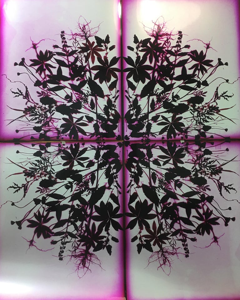 Wendy Small - Remedy Weekend (Pink) metallic paper For Sale at 1stDibs