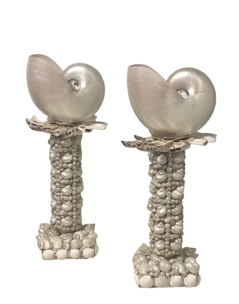 Whimsy Nautilus Shell Decorative Object For Sale at 1stDibs