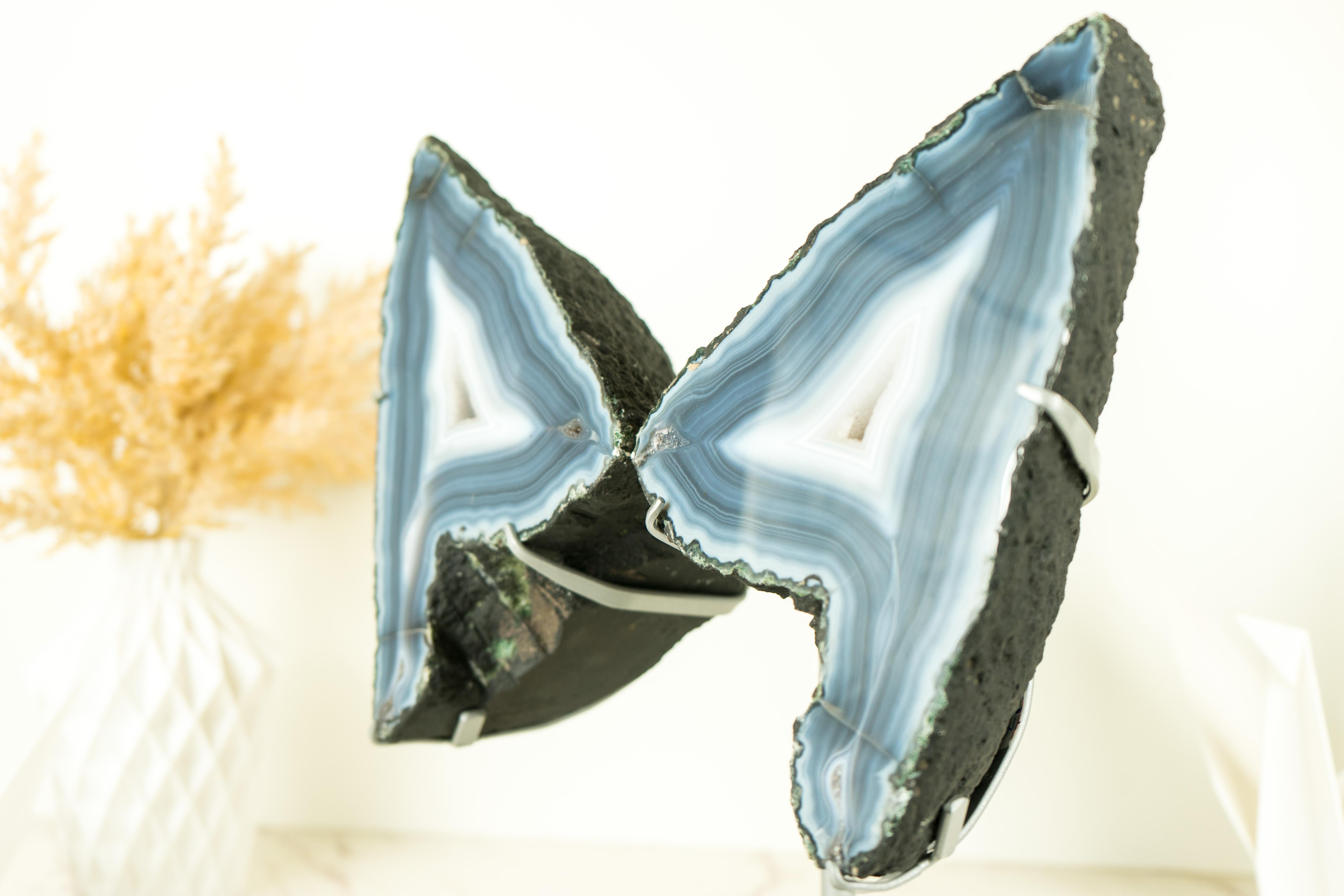 White and Blue Lace Agate Butterfly Geode Wings with Flawless Agate ...