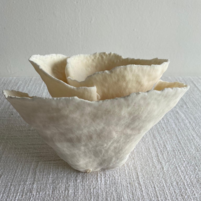 White Curled Cup Coral at 1stDibs