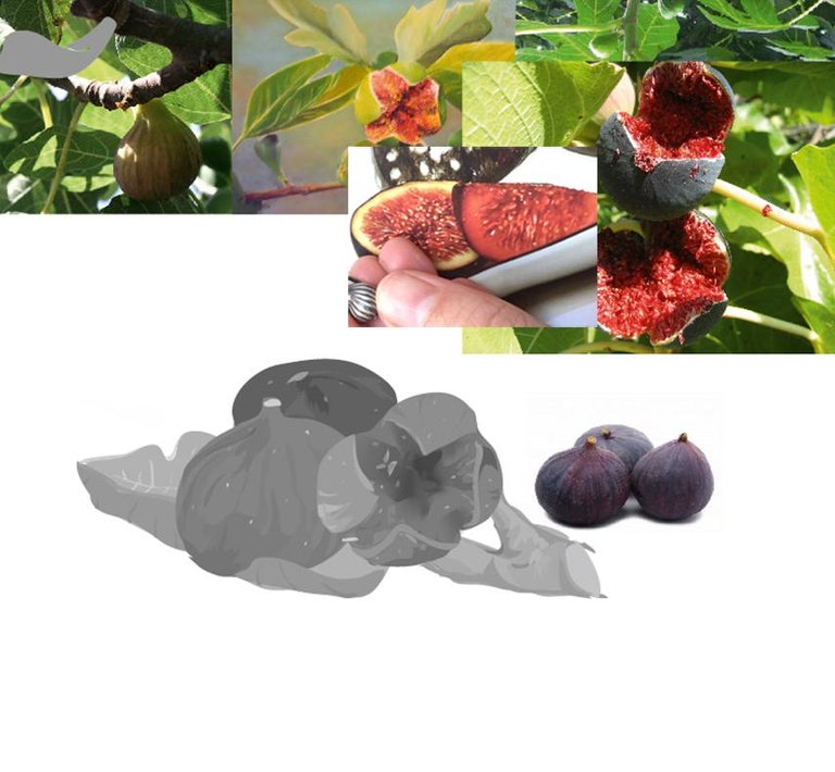 White Gold Fig Cocktail Ring with 3 Diamonds by the Artist, Feat in ...