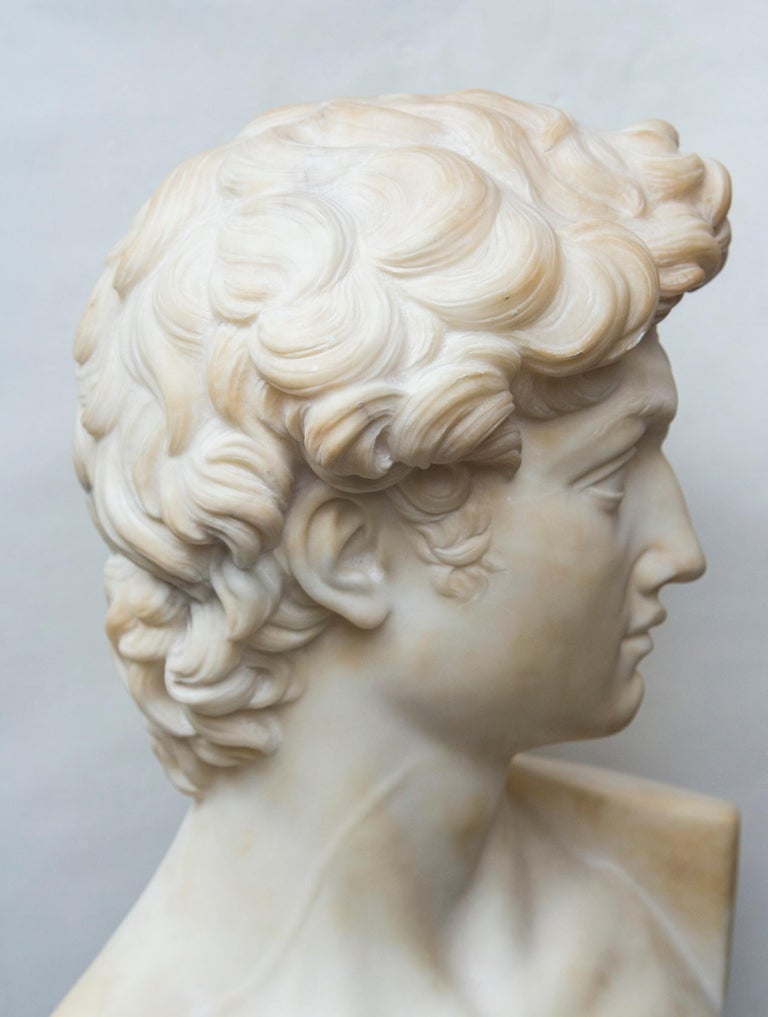 White Marble Bust of David after Michelangelo For Sale at 1stDibs
