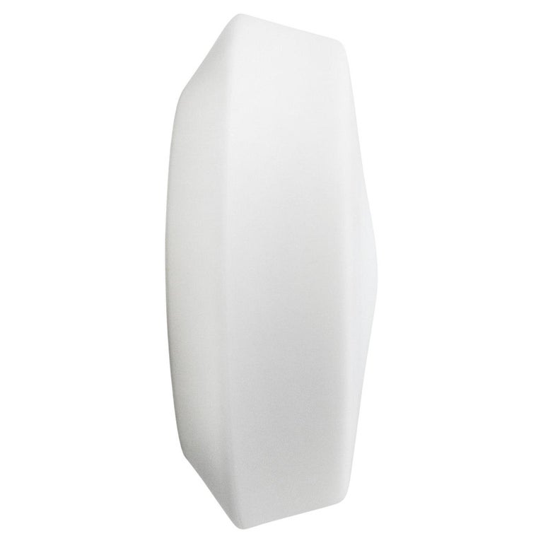 White Mat Opaline Glass Vintage Wall Lamp Scone by RZB Rudolph ...