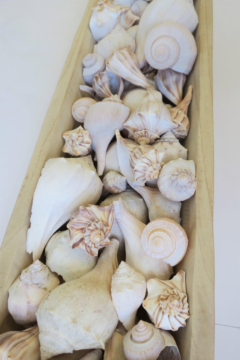 Seashells in Wood Centerpiece Vessel For Sale at 1stDibs