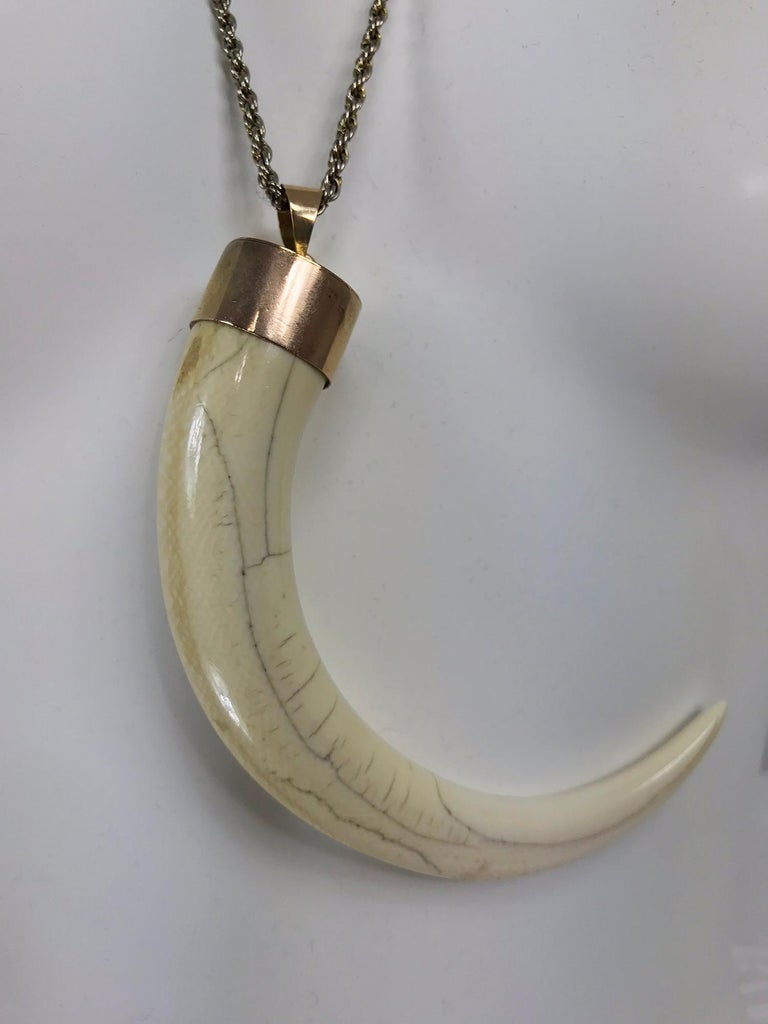 Wild Boars Tusk 14K Gold Mounted Necklace 1950s at 1stDibs | wild boar ...