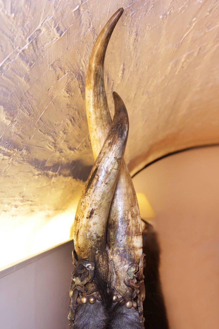 Wildebeest Armchair with Zebu Horns For Sale at 1stdibs