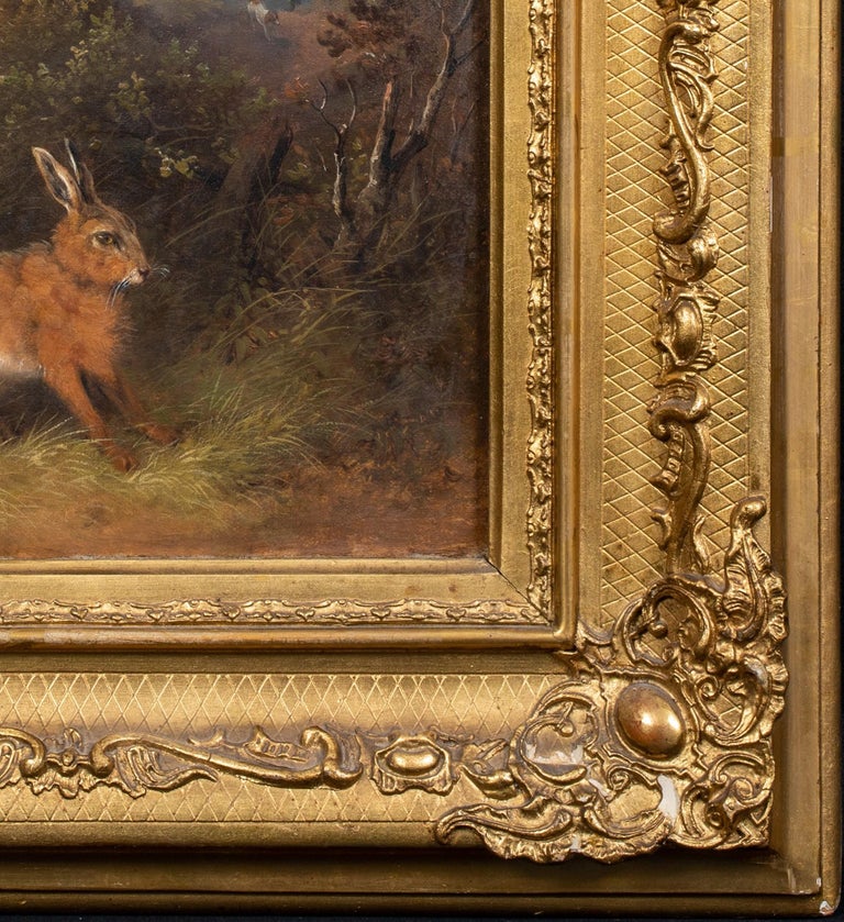 Wilhelm Melchior - Study Of Wild Hares, 19th Century For Sale at 1stDibs