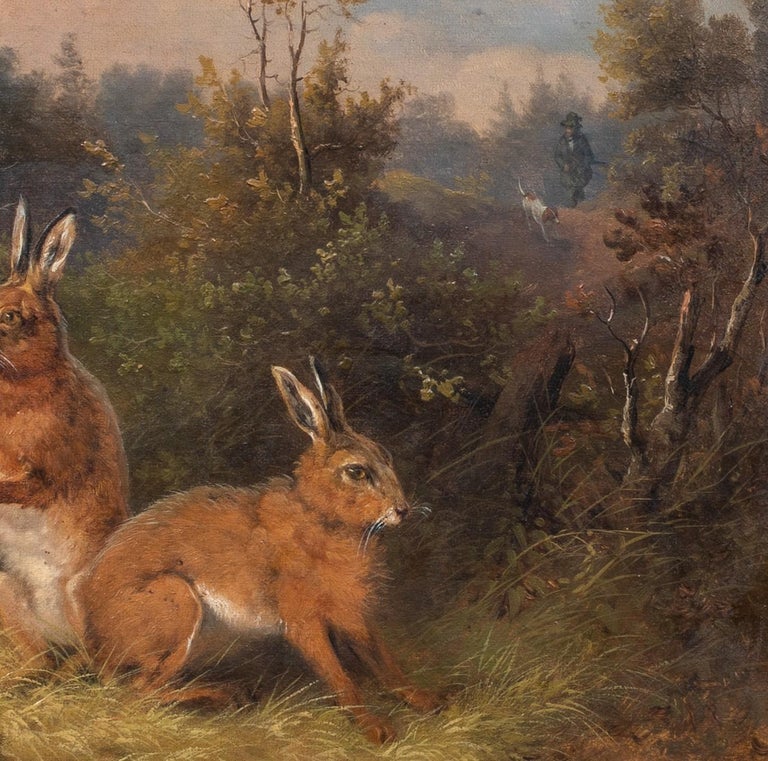 Wilhelm Melchior - Study Of Wild Hares, 19th Century For Sale at 1stDibs