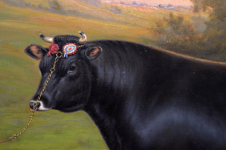 William Albert Clark - Animal portrait oil painting of a prize bull at ...