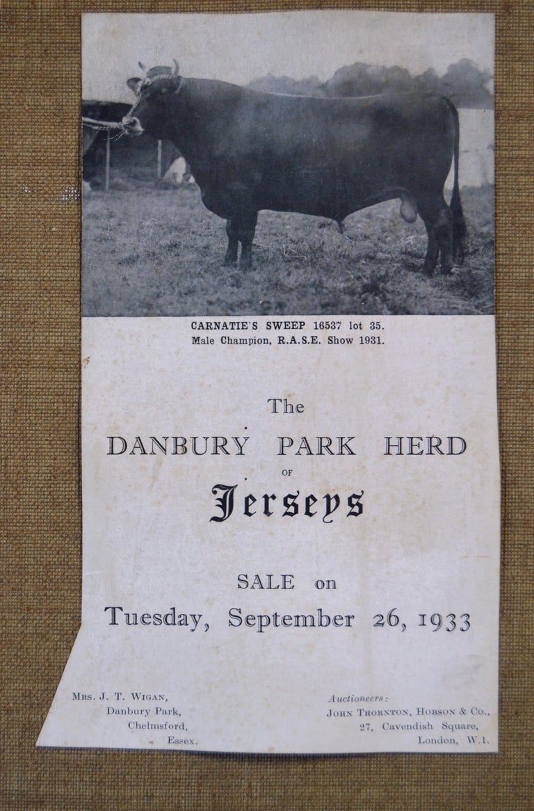 William Albert Clark - Animal portrait oil painting of a prize bull at ...