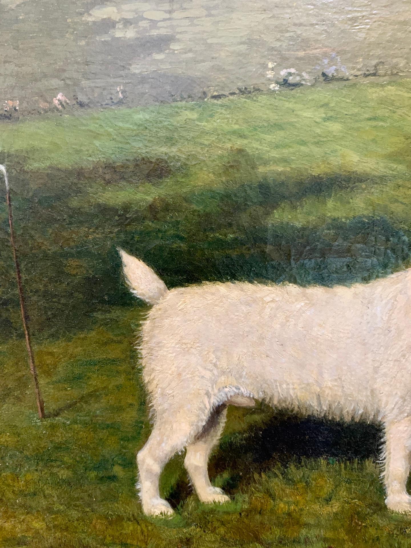 William Albert Clark - English Portrait of a Jack Russell dog in a ...