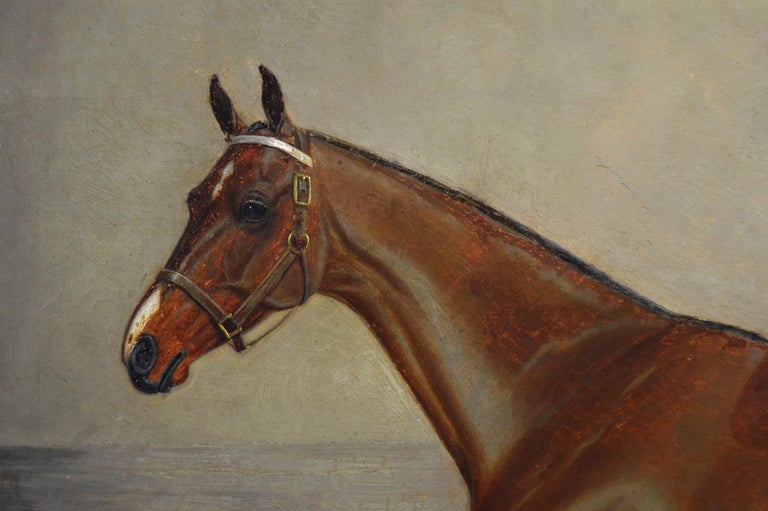 William Albert Clark - Sporting horse portrait oil painting of a bay ...