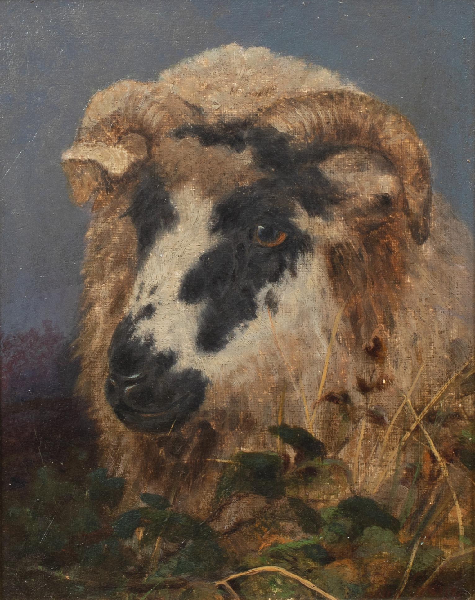 William Arthur Breakspeare - Portrait of A Rams Head, 19th Century at ...