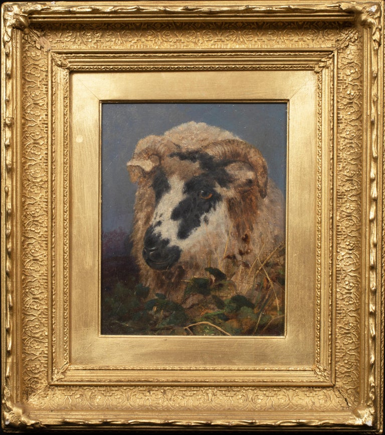 William Arthur Breakspeare - Portrait of A Rams Head, 19th Century For ...