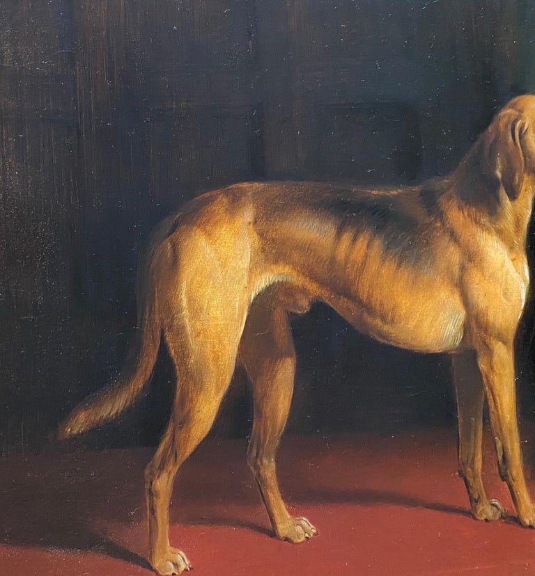 William Barraud - 19th century portrait of a Great Dane dog in an ...