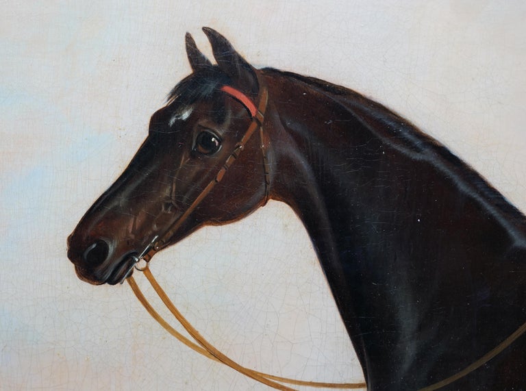 William Barraud - Portrait of a Dark Bay Hunter Horse in a Landscape ...