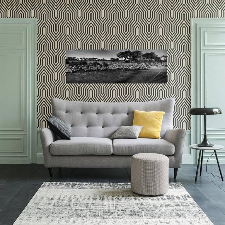 William Chua - Award winning wildlife photos- “Zebras” Prix de la ...