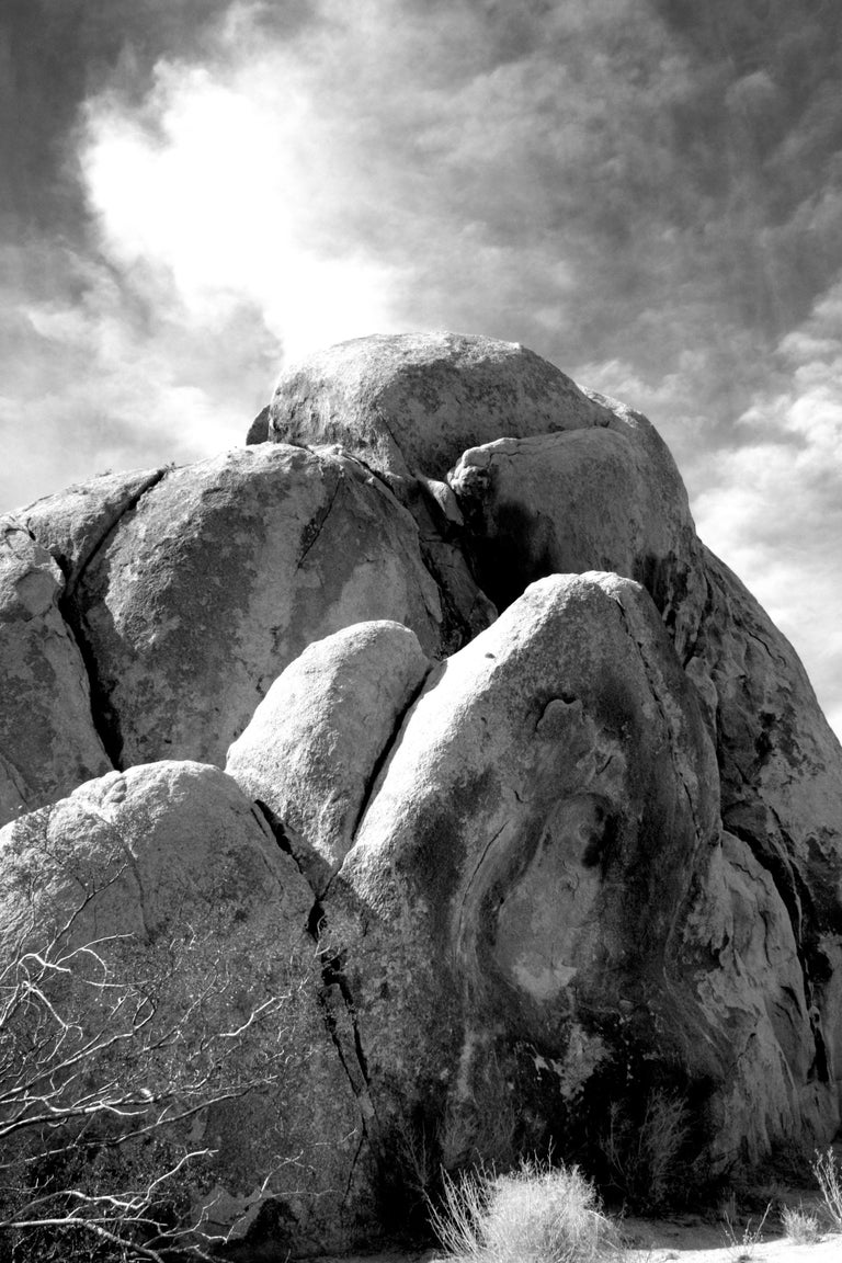 William Dey - ROCK POWER Joshua Tree National Park CA, Photograph ...