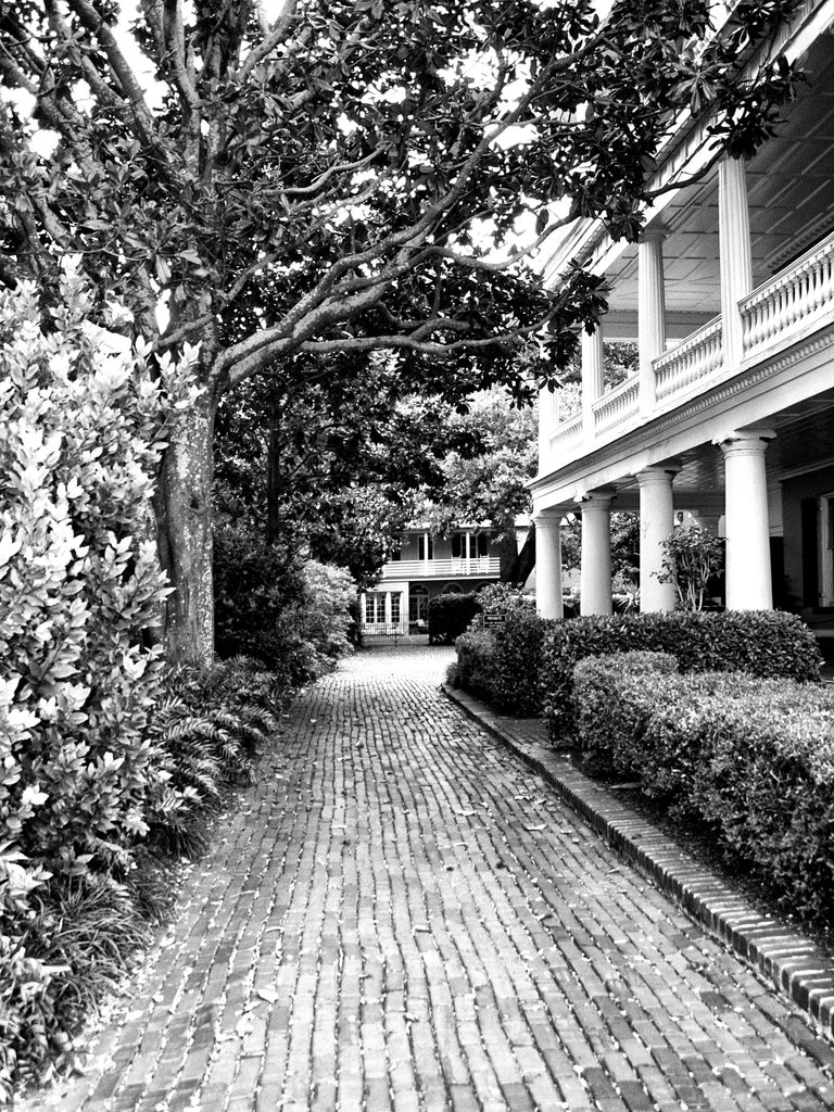 William Dey - TAKE A WALK ON SERENITY Charleston SC, Photograph ...