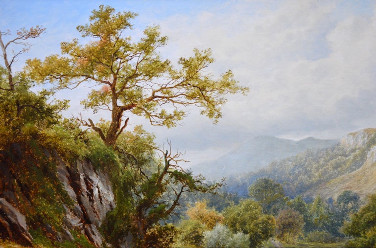 William Henry Mander - The Lledr Valley, North Wales - 19th Century ...