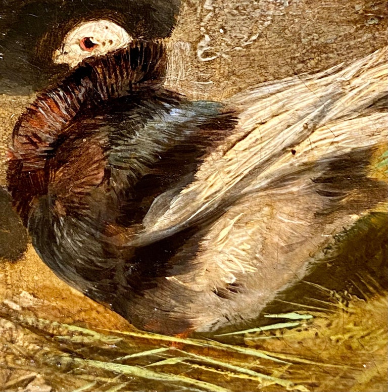 19th century romantic painting Roosters in the countryside - bird dove ...