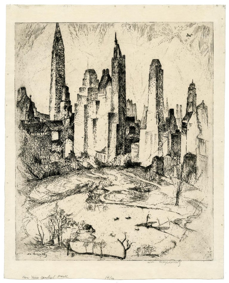 William Meyerowitz - New York, Central Park For Sale at 1stDibs