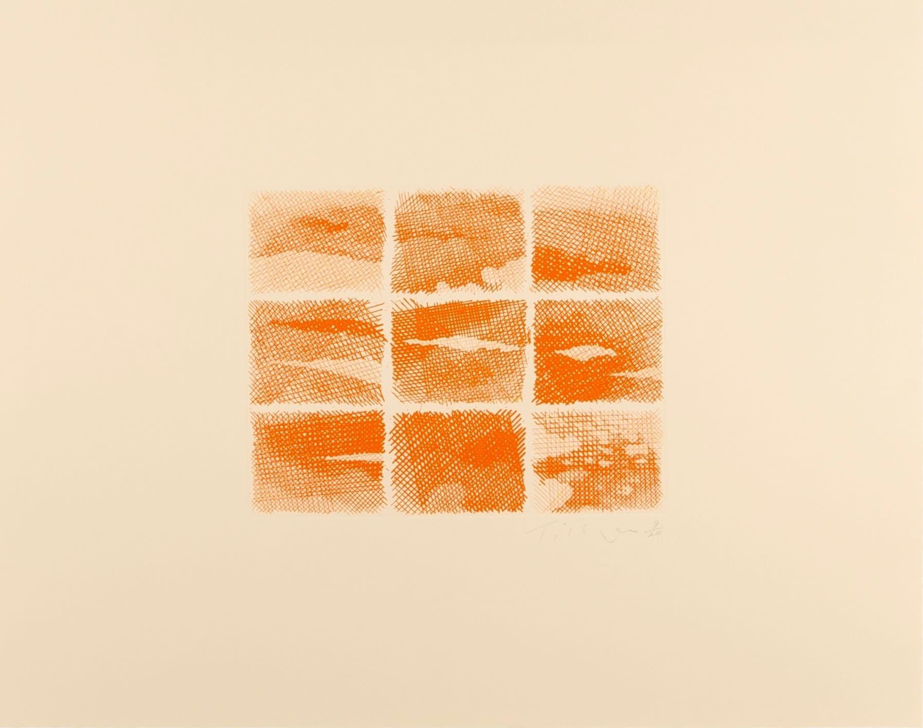 William Tillyer - William Tillyer, the Courthope Collection portfolio ...