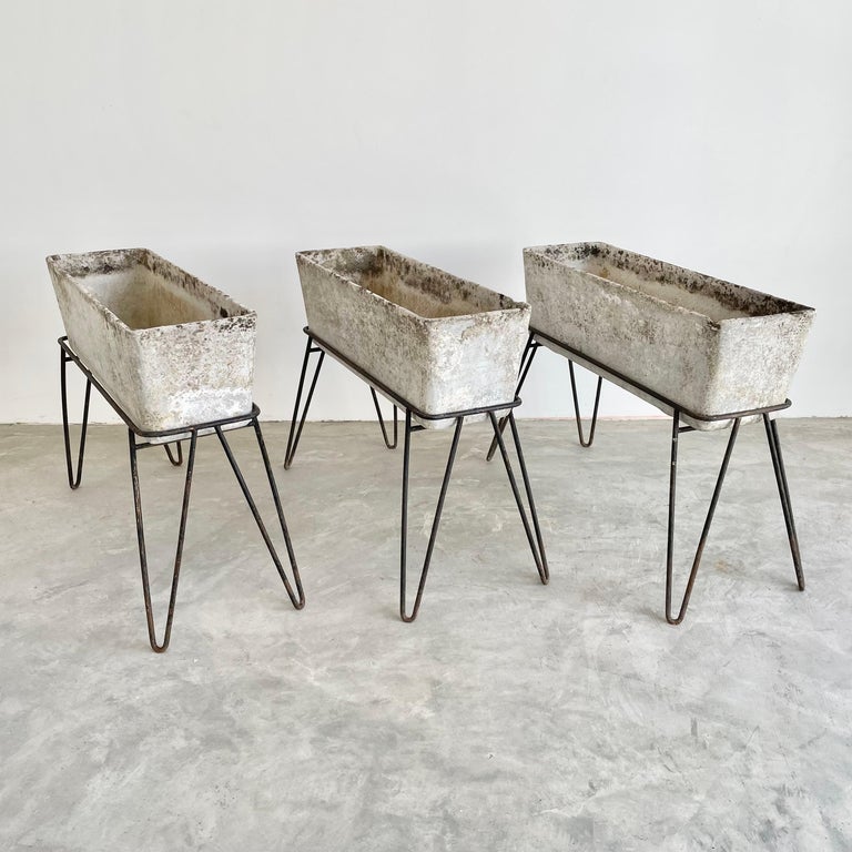 Willy Guhl Concrete Trough Planter on Iron Hairpin Stand, 1975 ...