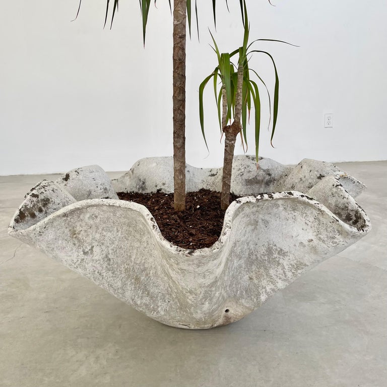 Willy Guhl Monumental Clam Shell Planters For Sale at 1stDibs