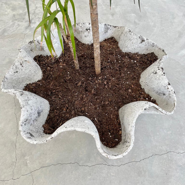 Willy Guhl Monumental Clam Shell Planters For Sale at 1stDibs