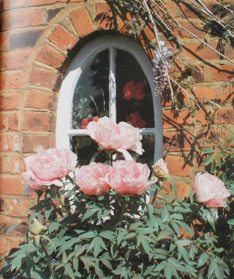 Window Gardens, How to Create Beautiful Windows Indoors and Out For ...