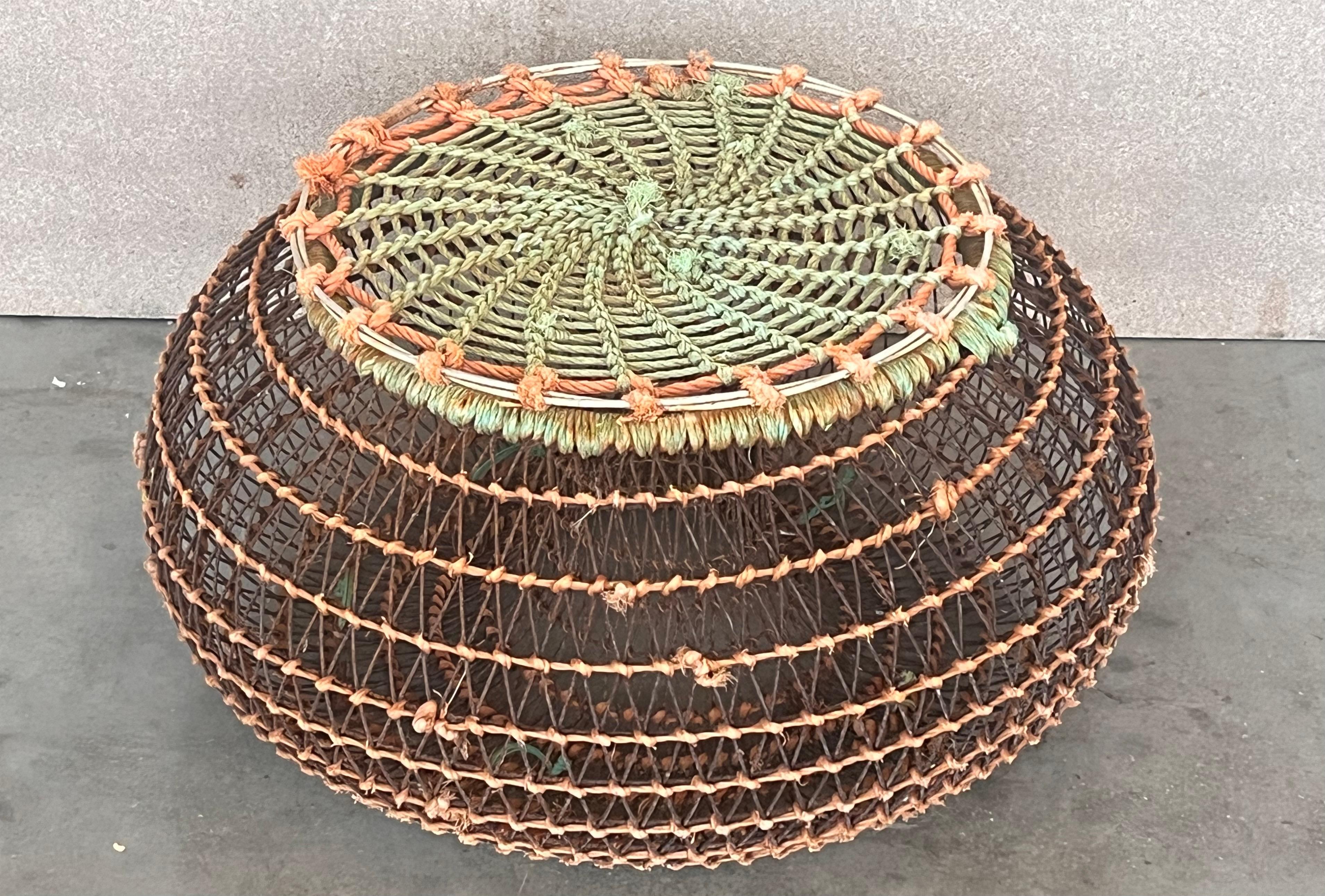 Wire Cage for Shipping Shell Fish For Sale at 1stDibs